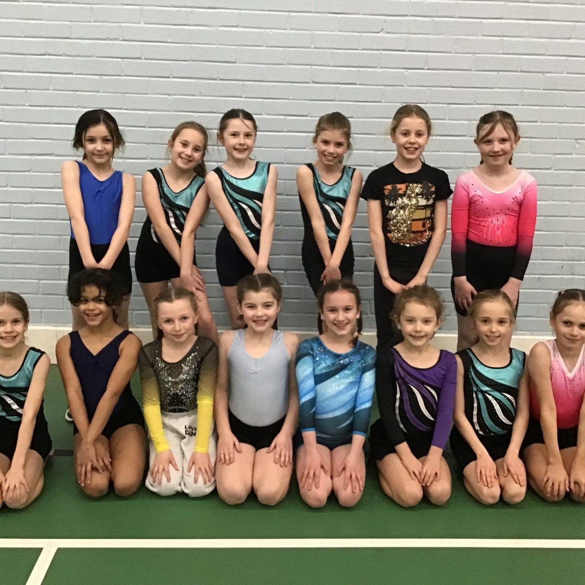 Gymnastics Finals - Hall Orchard CE Primary School